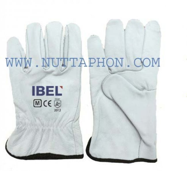 ถุงมืออาร์กอน IBEL